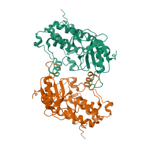 RCSB PDB - 1ZWS: Crystal structure of the catalytic domain of human DRP ...
