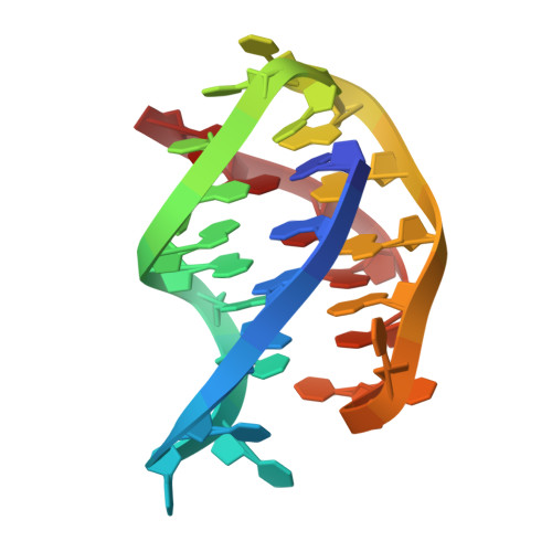 RCSB PDB - 201D: SOLUTION STRUCTURE OF THE OXYTRICHA TELOMERIC REPEAT D ...