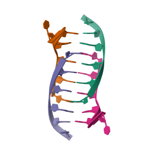 RCSB PDB - 241D: EXTENSION OF THE FOUR-STRANDED INTERCALATED CYTOSINE ...