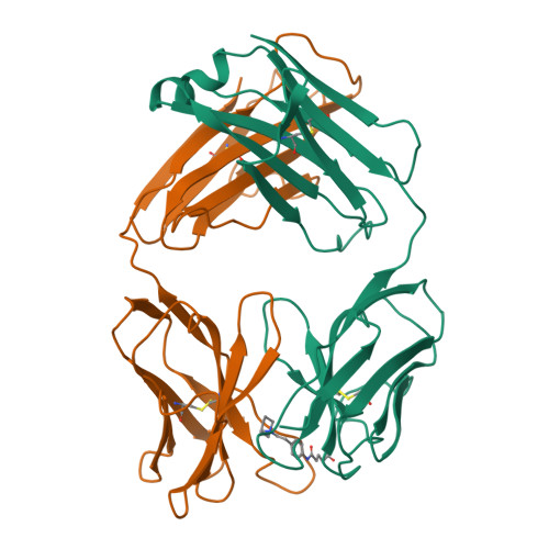 RCSB PDB - 25C8: CATALYTIC ANTIBODY 5C8, FAB-HAPTEN COMPLEX