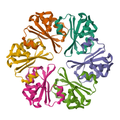 RCSB PDB - 2A18: carboxysome shell protein ccmK4, crystal form 2