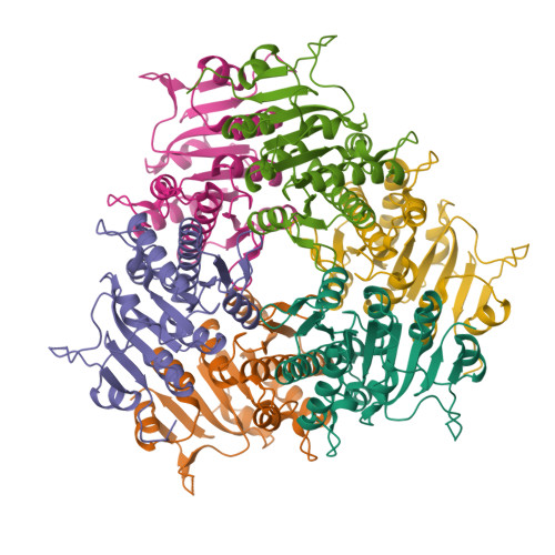 RCSB PDB - 2A1F: Crystal Structure of Uridylate kinase