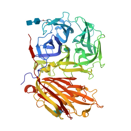 RCSB PDB - 2ADD: Crystal structure of fructan 1-exohydrolase IIa from ...