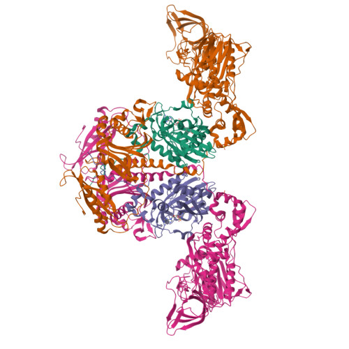 RCSB PDB - 2ALY: Crystal Structure of T.Thermophilus Phenylalanyl-tRNA ...