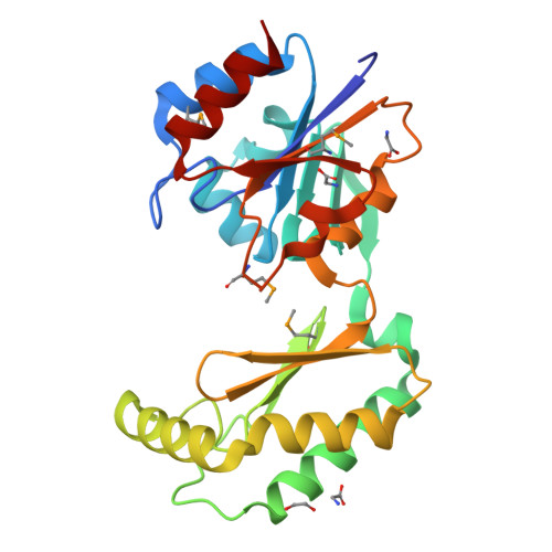 RCSB PDB - 2AMY: X-Ray Structure of Human Phosphomannomutase 2 (PMM2)