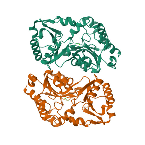 RCSB PDB - 2B30: Initial Crystallographic Structural Analysis of a ...