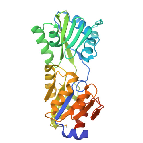 RCSB PDB - 2B8E: CopA ATP Binding Domain