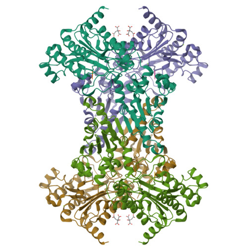 RCSB PDB - 2BHD: Mg substituted E. coli Aminopeptidase P in complex ...