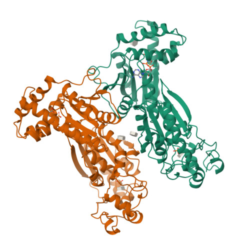 RCSB PDB - 2BIF: 6-PHOSPHOFRUCTO-2-KINASE/FRUCTOSE-2,6-BISPHOSPHATASE ...