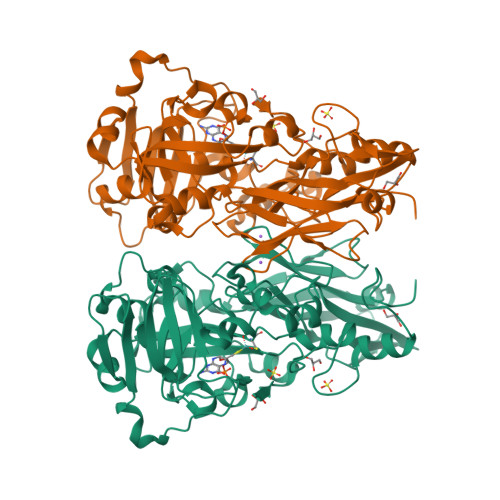 RCSB PDB - 2BII: crystal structure of nitrate-reducing fragment of ...