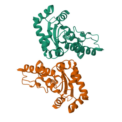 RCSB PDB - 2BKB: q69e-FeSOD