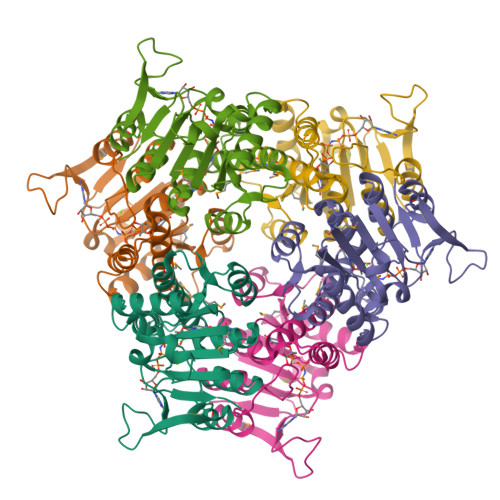 RCSB PDB - 2BMU: UMP KINASE FROM PYROCOCCUS FURIOSUS COMPLEXED WITH ITS ...