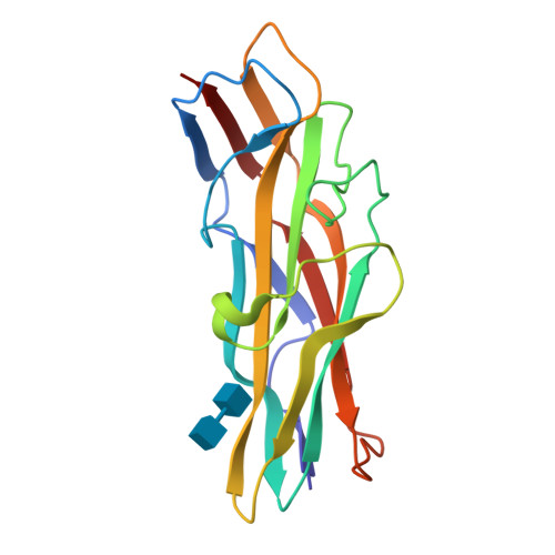 RCSB PDB - 2BS7: Crystal structure of F17b-G in complex with chitobiose