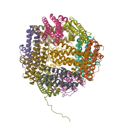 RCSB PDB - 2BW1: Iron-bound crystal structure of Dps-like peroxide ...