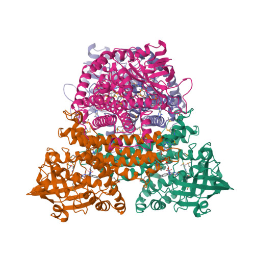 RCSB PDB - 2C0U: Crystal Structure of a Covalent Complex of Nitroalkane ...