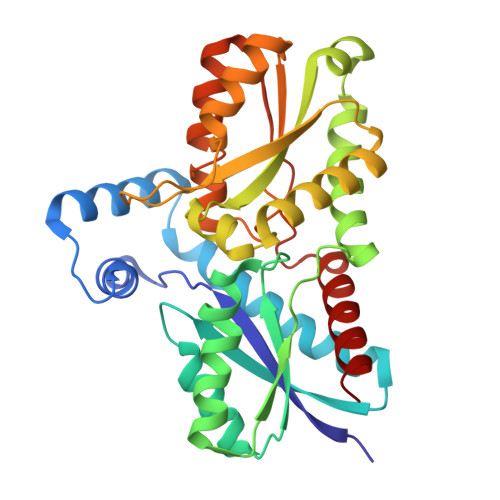 RCSB PDB - 2C8J: CRYSTAL STRUCTURE OF ferrochelatase HemH-1 from ...