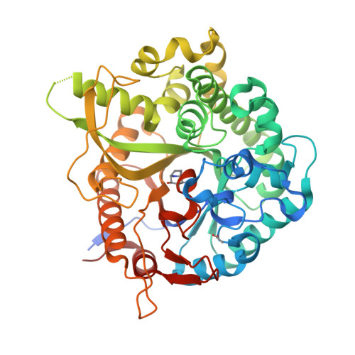 RCSB PDB - 2CBV: Beta-glucosidase from Thermotoga maritima in complex ...