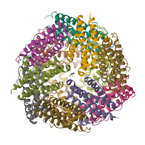 RCSB PDB - 2CF7: Asp74Ala mutant crystal structure for Dps-like ...