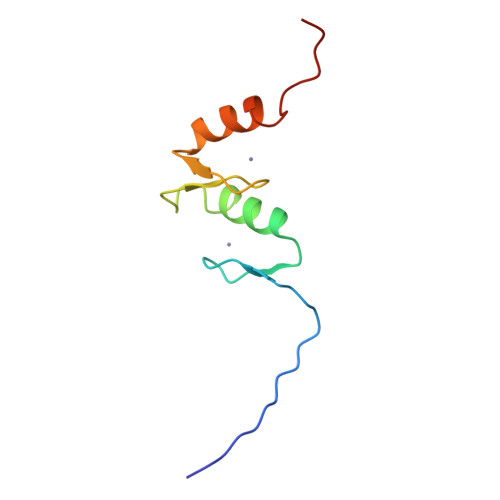 RCSB PDB - 2CT1: Solution Structure of the zinc finger domain of ...