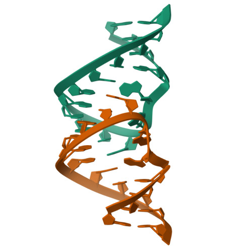 RCSB PDB - 2D19: Solution RNA structure of loop region of the HIV-1 ...
