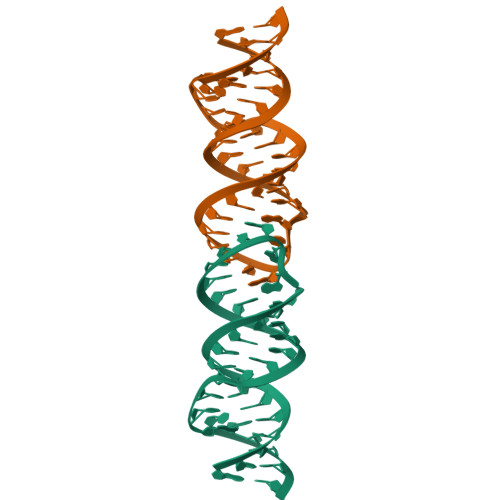 RCSB PDB - 2D1B: Solution RNA structure model of the HIV-1 dimerization ...