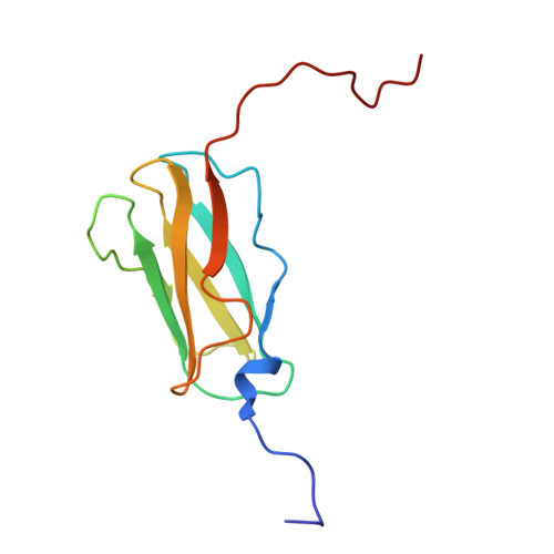 RCSB PDB - 2D7P: Solution structure of the 22th Filamin domain from ...