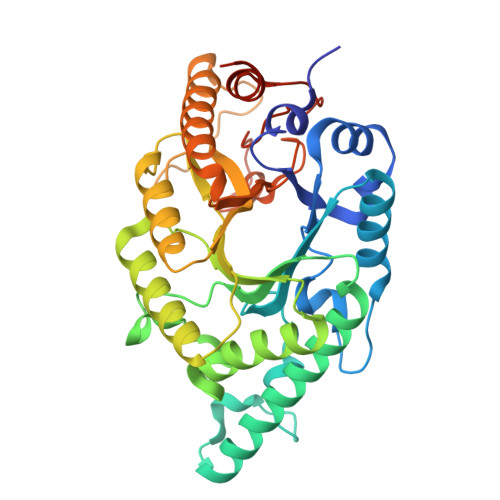 RCSB PDB - 2DEP: Crystal Structure of xylanase B from Clostridium ...