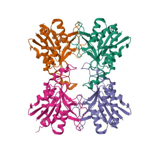 RCSB PDB - 2DF5: Crystal Structure of Pf-PCP(1-204)-C