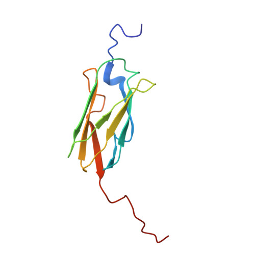 RCSB PDB - 2DI8: Solution structure of the 19th filamin domain from ...