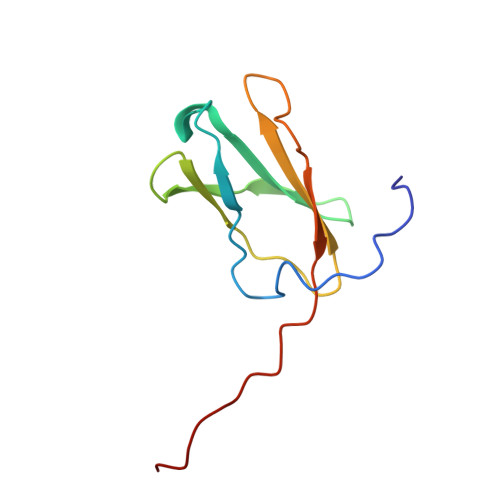RCSB PDB - 2DLG: Solution structure of the 20th Filamin domain from ...