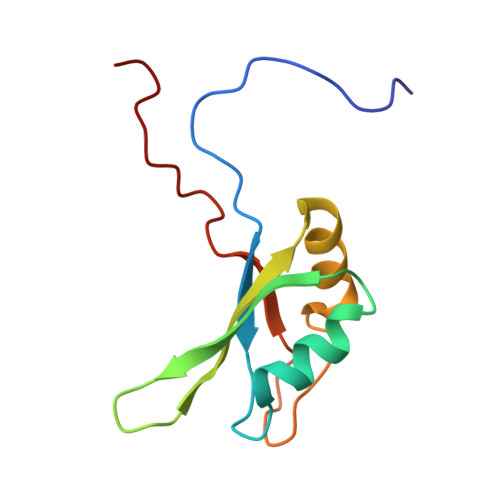 RCSB PDB - 2DNH: Solution structure of RNA binding domain in Bruno-like ...