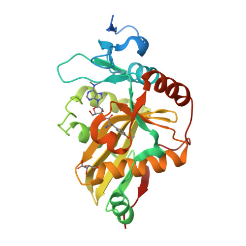 RCSB PDB - 2DPT: Leucyl/phenylalanyl-tRNA-protein transferase complexed ...