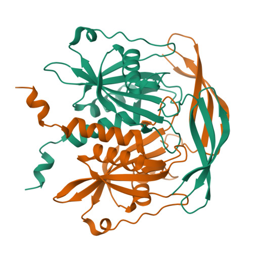 RCSB PDB - 2DSB: Crystal structure of human ADP-ribose pyrophosphatase ...