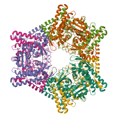 RCSB PDB - 2DZY: Crystal structure of N392A mutant of yeast bleomycin ...