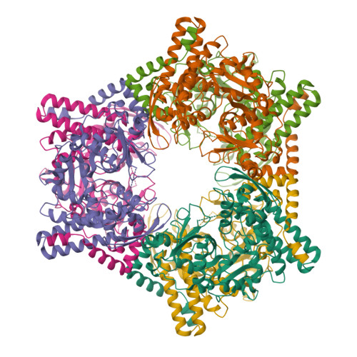 RCSB PDB - 2E01: Crystal structure of H369A mutant of yeast bleomycin ...