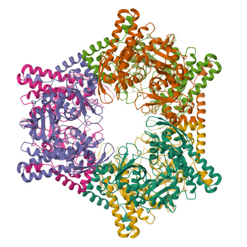 RCSB PDB - 2E02: Crystal structure of H369L mutant of yeast bleomycin ...