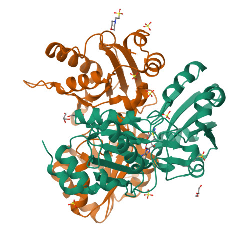 RCSB PDB - 2E15: Crystal structure of Arg173 to Asn mutant of Diphthine ...