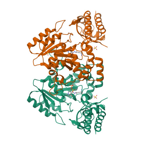 RCSB PDB - 2E7I: Crystal Structure of Sep-tRNA:Cys-tRNA Synthase from ...