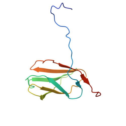 RCSB PDB - 2E9I: Solution structure of the N-terminal extended 20th ...