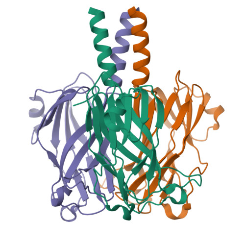 RCSB PDB - 2ED6: Crystal Structure of Envelope Protein VP28 from White ...