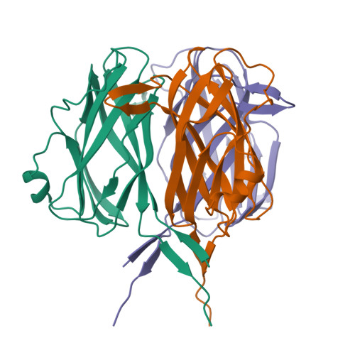 RCSB PDB - 2EDM: Crystal Structure of Envelope Protein VP26 from White ...