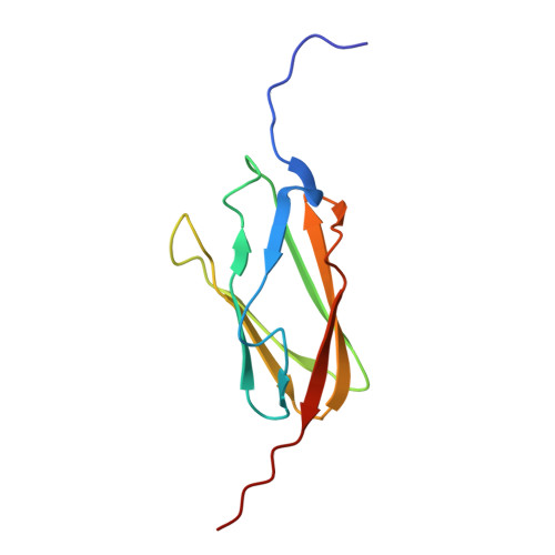 RCSB PDB - 2EE6: Solution structure of the 21th filamin domain from ...