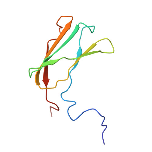 RCSB PDB - 2EE9: Solution structure of the 16th filamin domain from ...
