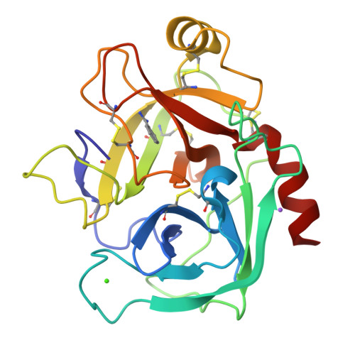 RCSB PDB - 2EEK: Crystal structure of Atlantic cod trypsin complexed ...