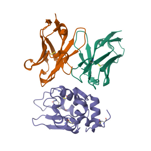 RCSB PDB - 2EKS: Crystal structure of humanized HyHEL-10 FV-HEN ...
