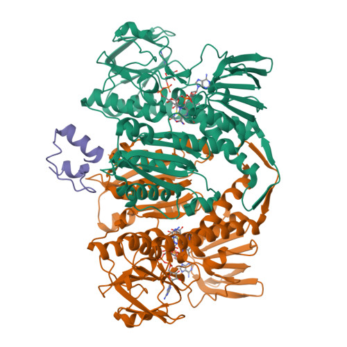 RCSB PDB - 2EQ7: Crystal structure of lipoamide dehydrogenase from ...