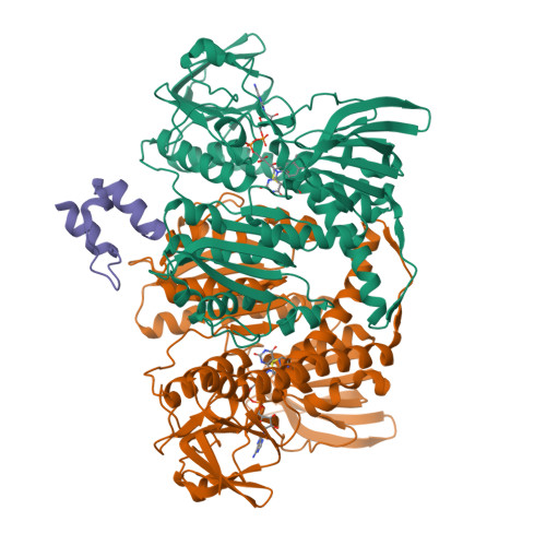 RCSB PDB - 2EQ8: Crystal structure of lipoamide dehydrogenase from ...