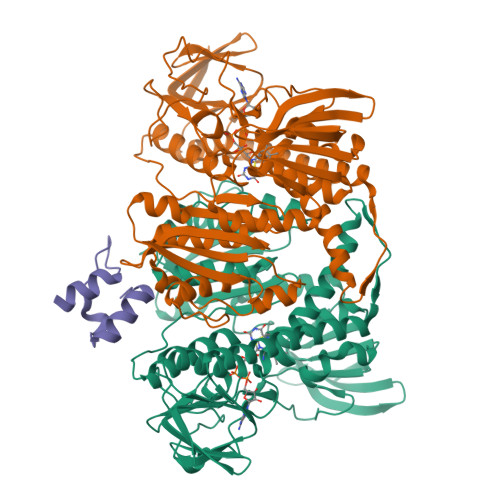 RCSB PDB - 2EQ9: Crystal structure of lipoamide dehydrogenase from ...