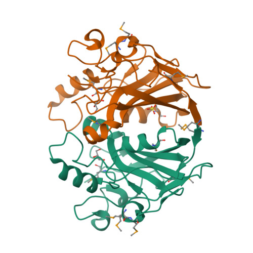 RCSB PDB - 2EVV: Crystal Structure of the PEBP-like Protein of Unknown ...
