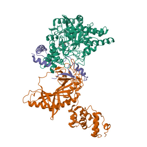 RCSB PDB - 2F2A: Structure of tRNA-Dependent Amidotransferase GatCAB ...